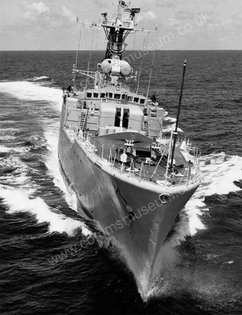 Peter Chamberlain Photos